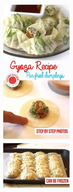 Gyoza Recipe (Japanese Pan-Fried Dumplings)