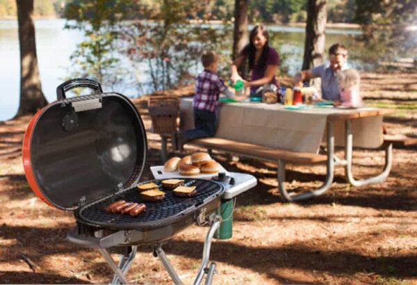 Stok Gridiron Grill Review & Giveaway • Steamy Kitchen Recipes