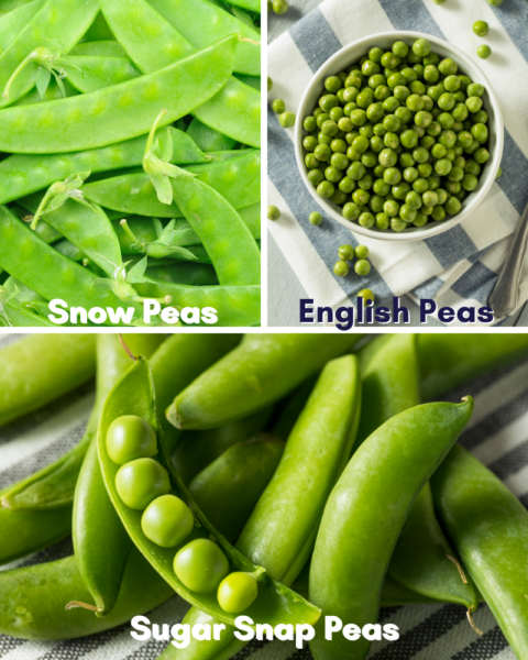 Steamed Peas in the Microwave • Steamy Kitchen Recipes Giveaways