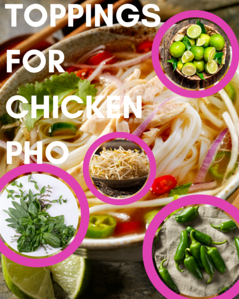 Instant Pot Vietnamese Chicken Pho • Steamy Kitchen Recipes