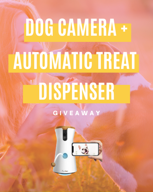 Furbo Dog Camera Automatic Treat Dispenser Giveaway Steamy Kitchen furbo-dog-camera-automatic-treat-dispenser-giveaway-steamy-kitchen