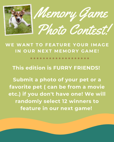 Furry Friends Memory Game Photo Contest! • Steamy Kitchen Recipes