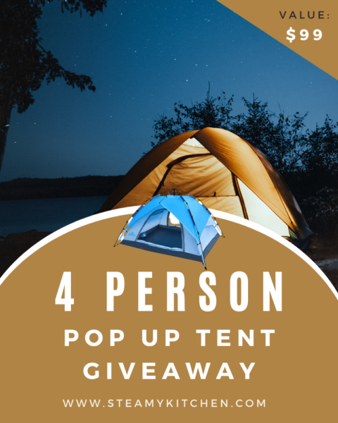 Instant Set Up 4 Person Tent Giveaway • Steamy Kitchen Recipes