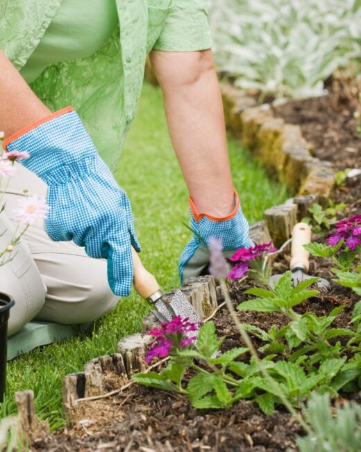 Supreme Gardening Amazon Instant Win • Steamy Kitchen Recipes Giveaways