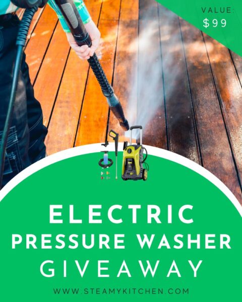 Electric Pressure Washer Giveaway • Steamy Kitchen Recipes