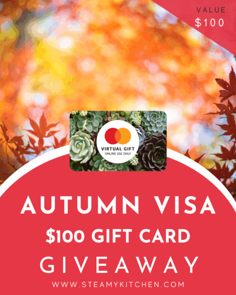 Autumn Visa $100 Gift Card Giveaway • Steamy Kitchen Recipes